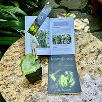 Fern Factory - Fern Factory offers a wide variety of Tree Ferns ...